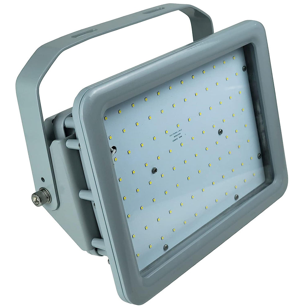 Explosion Proof LED Work Lights 80W 100W 100-277V Class I Division 2 ...